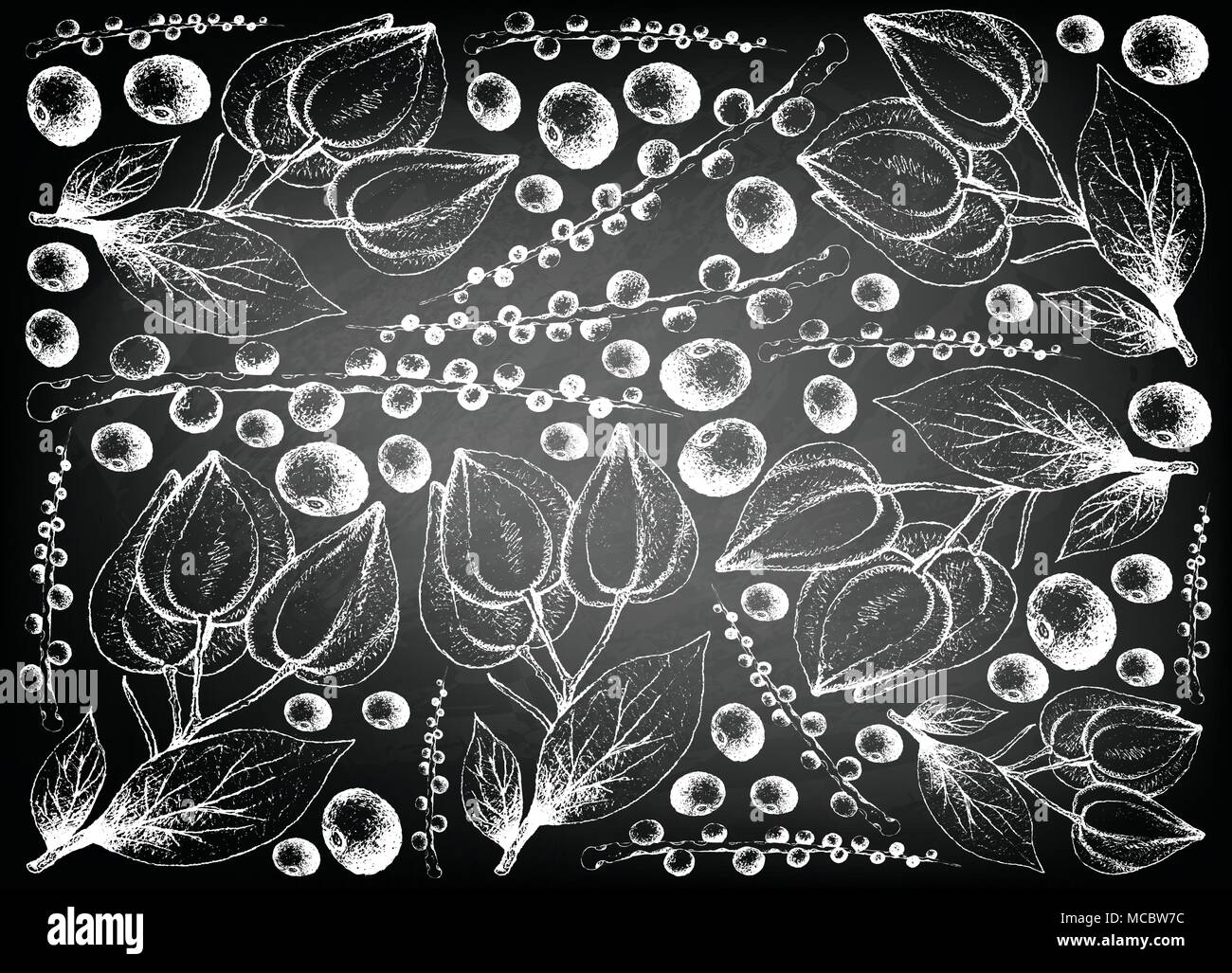 Berry Fruit, Illustration Wallpaper Background of Hand Drawn Sketch of ...