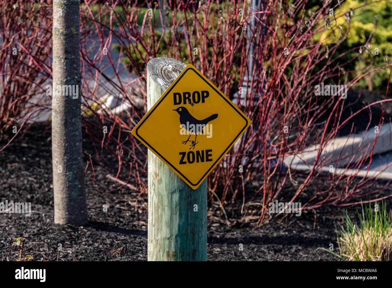 A drop zone sign warning of bird droppings in the immediate area Stock ...