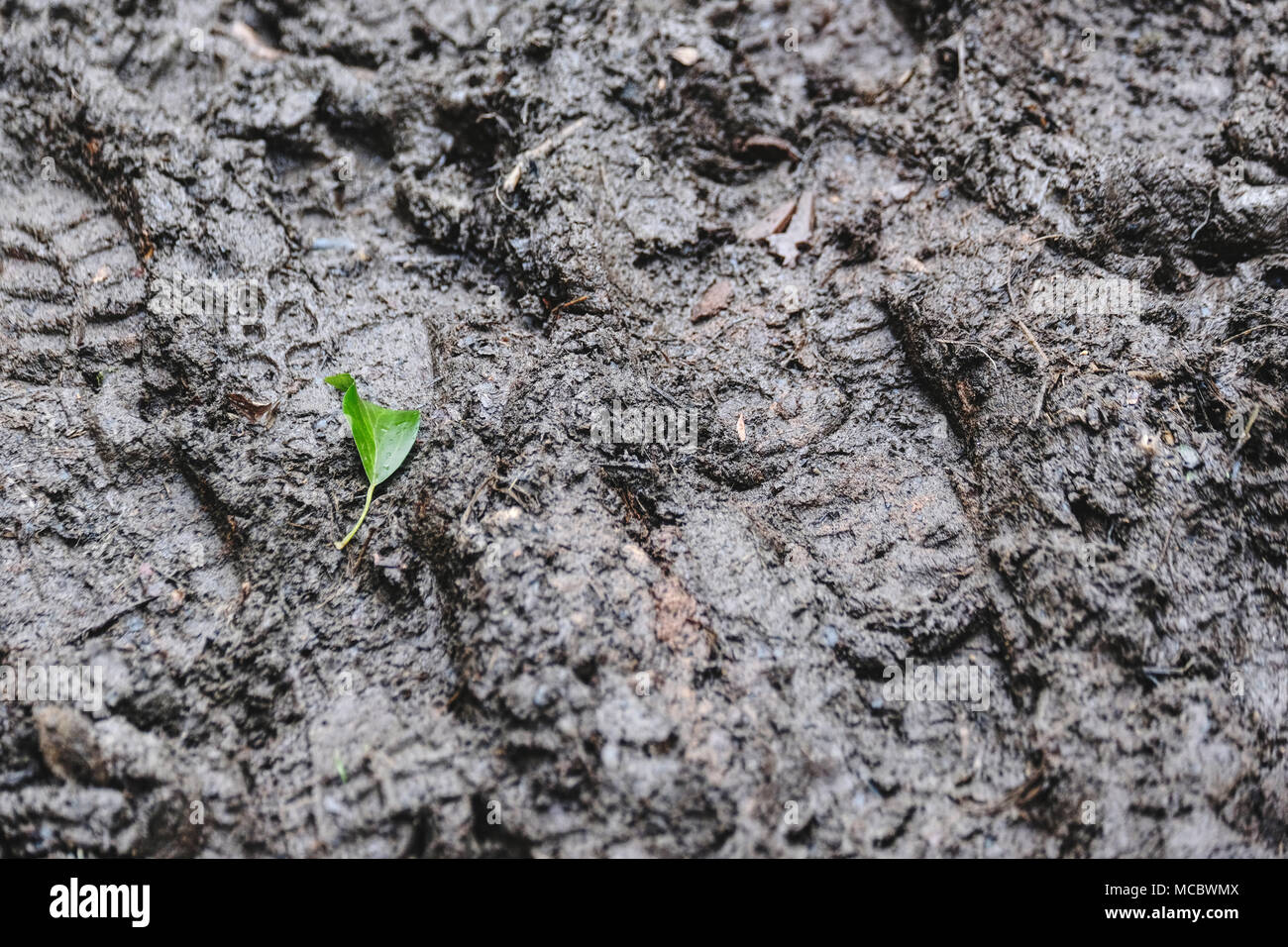 Boot Prints High Resolution Stock Photography and Images - Alamy