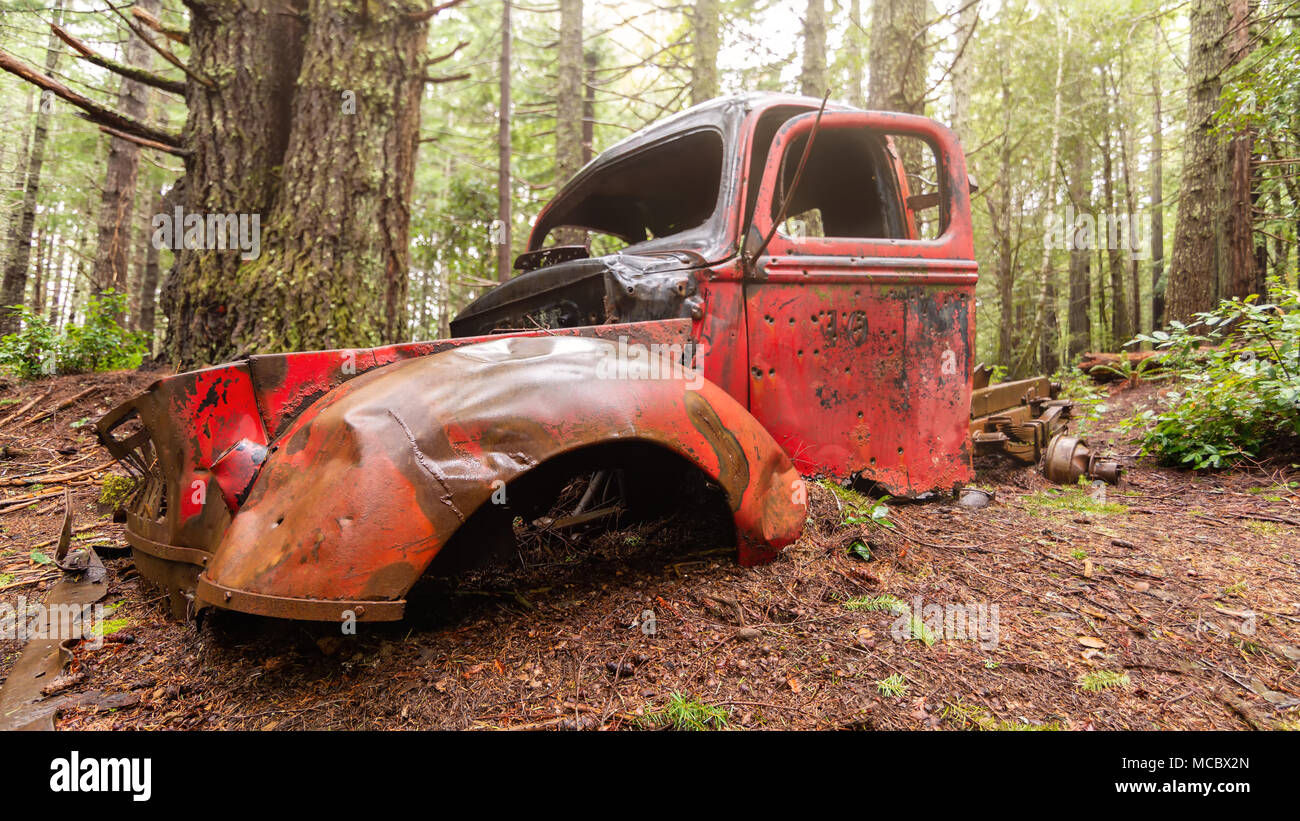 Abandoned classic cars in forest hi-res stock photography and images - Alamy