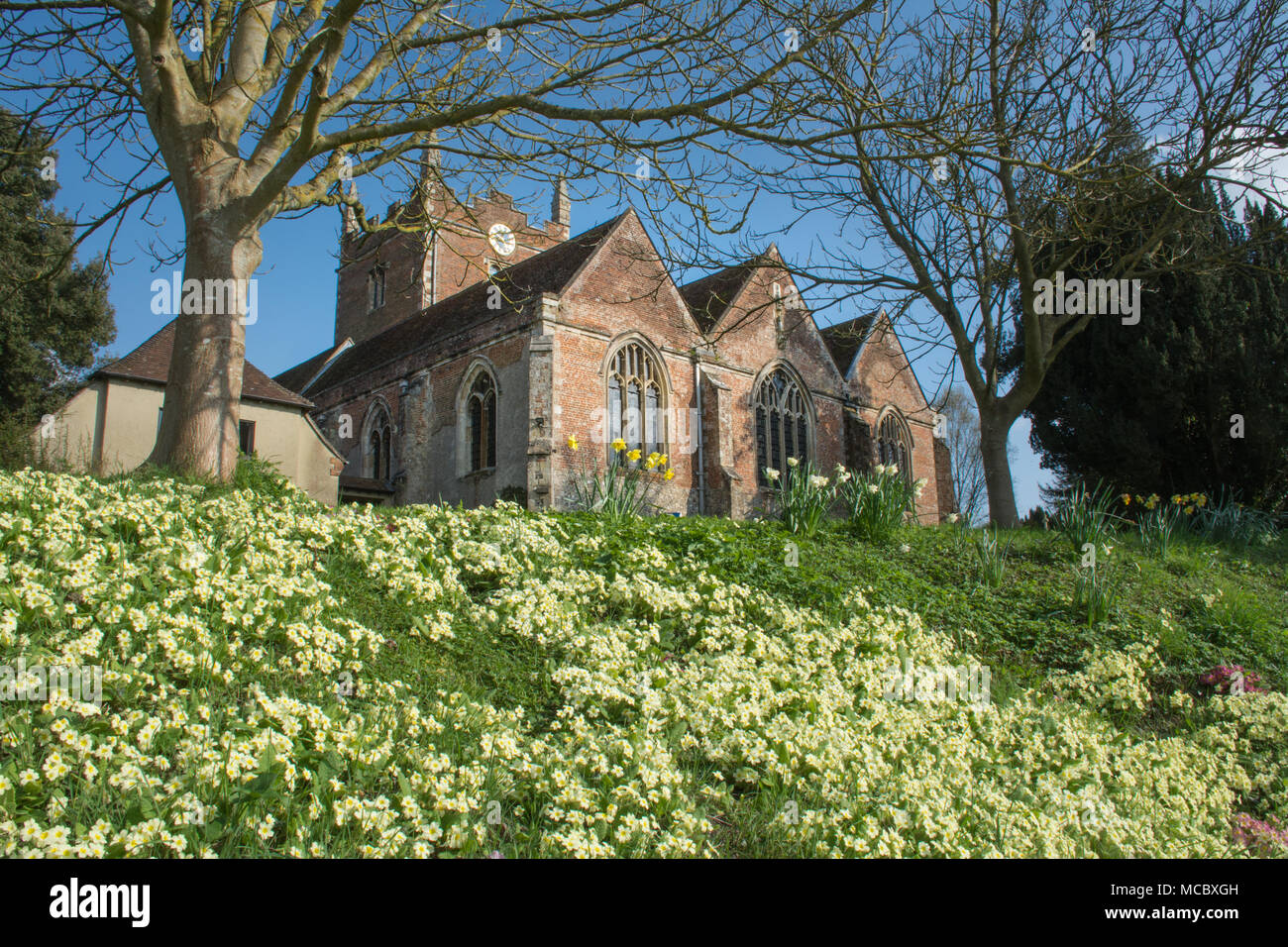 St Mary's Church in Old Basing village, Hampshire, during Spring with ...