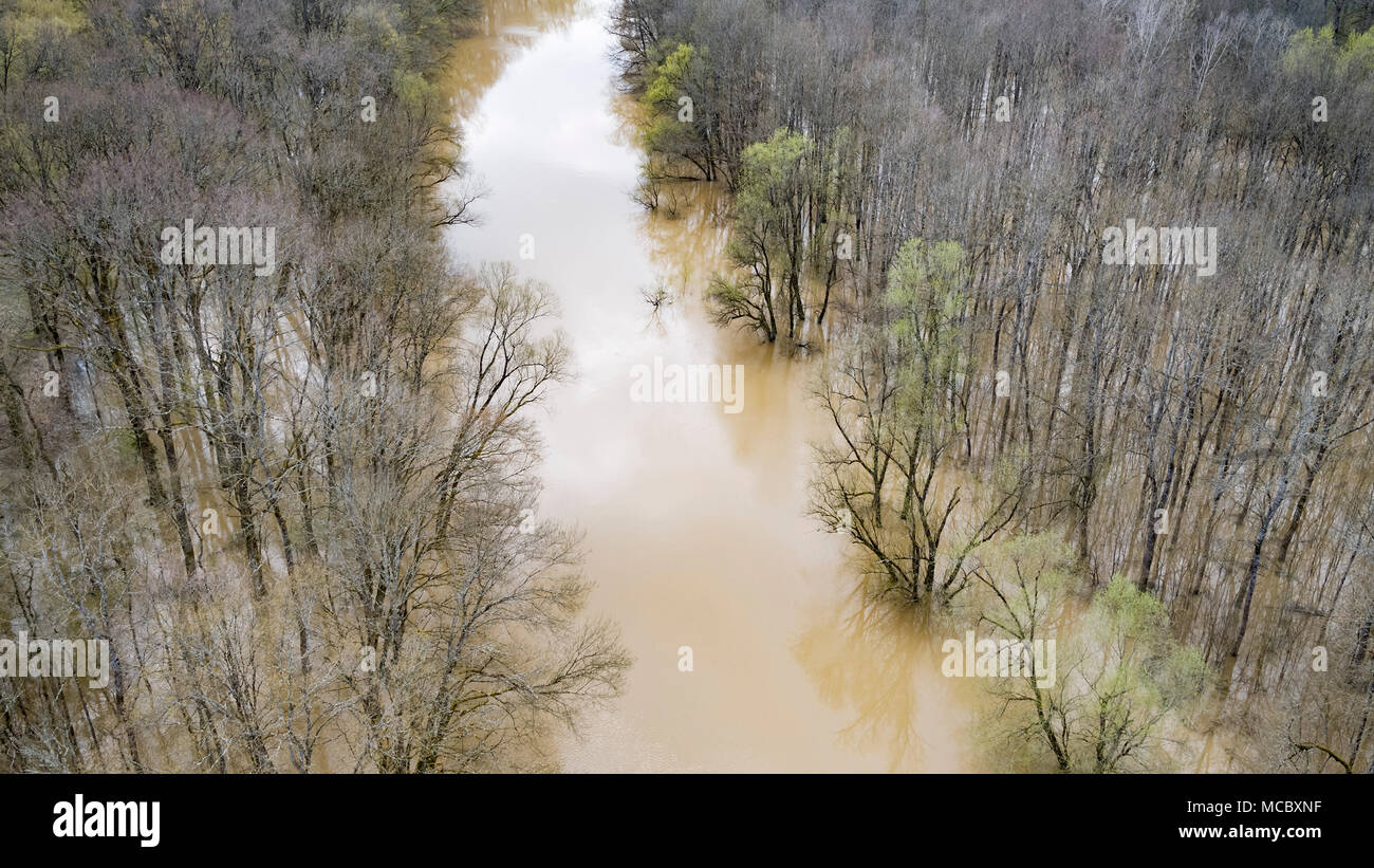 Floodforest and the Lonja River during the flood in Lonjsko polje ...