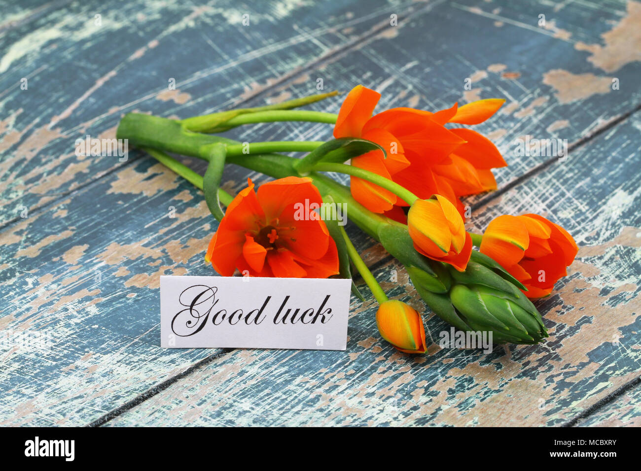 Good luck card with flowers hi-res stock photography and images - Alamy