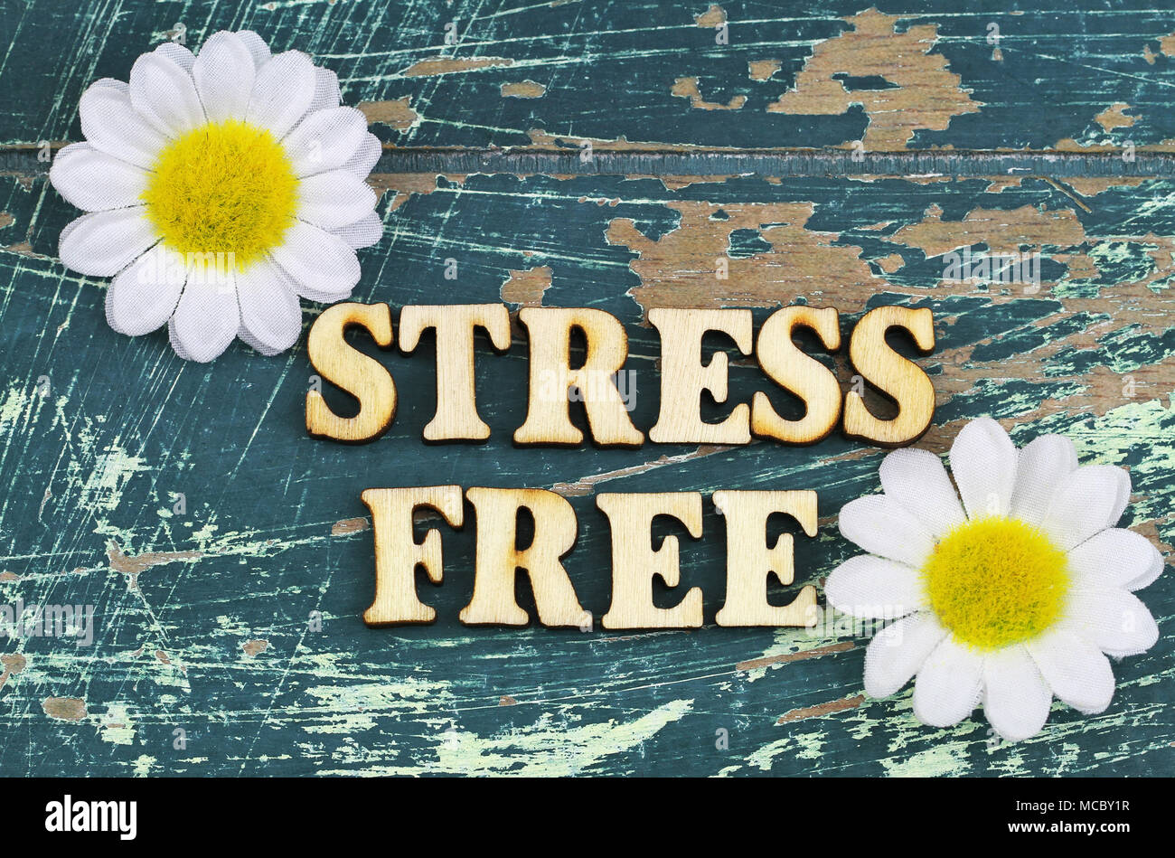 Stress free written with wooden letters and white daisy flower Stock ...