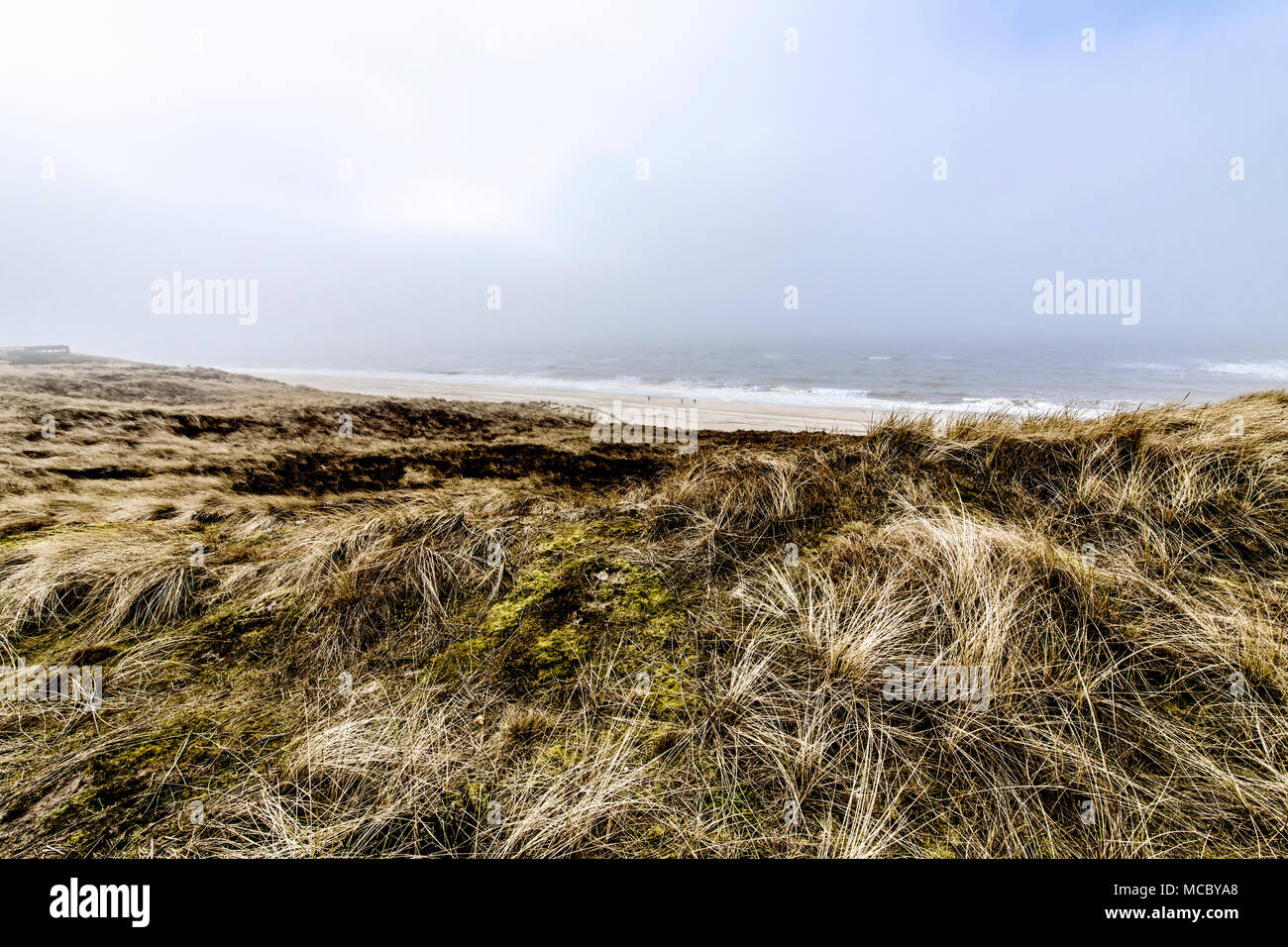 Sylt (Germany): Sea, surf and dunes; Dünen und Strand auf Sylt Stock ...