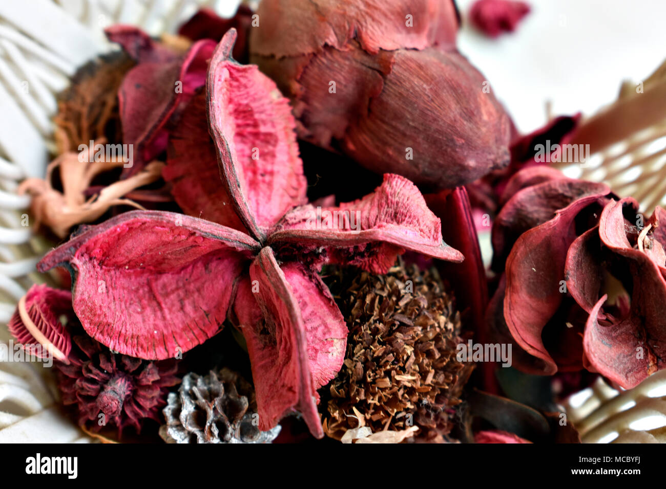 Dried Flowers Wallpaper Stock Photo - Alamy