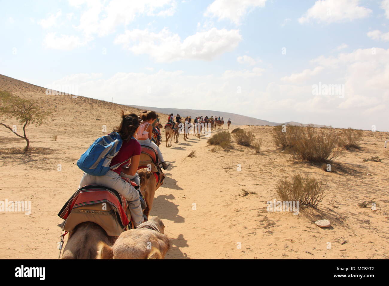 A convoy in the desert Stock Photo - Alamy