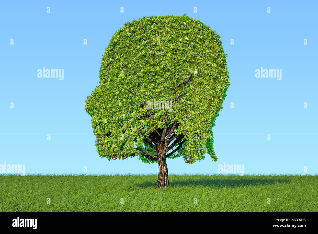 Brain shaped tree hi-res stock photography and images - Alamy