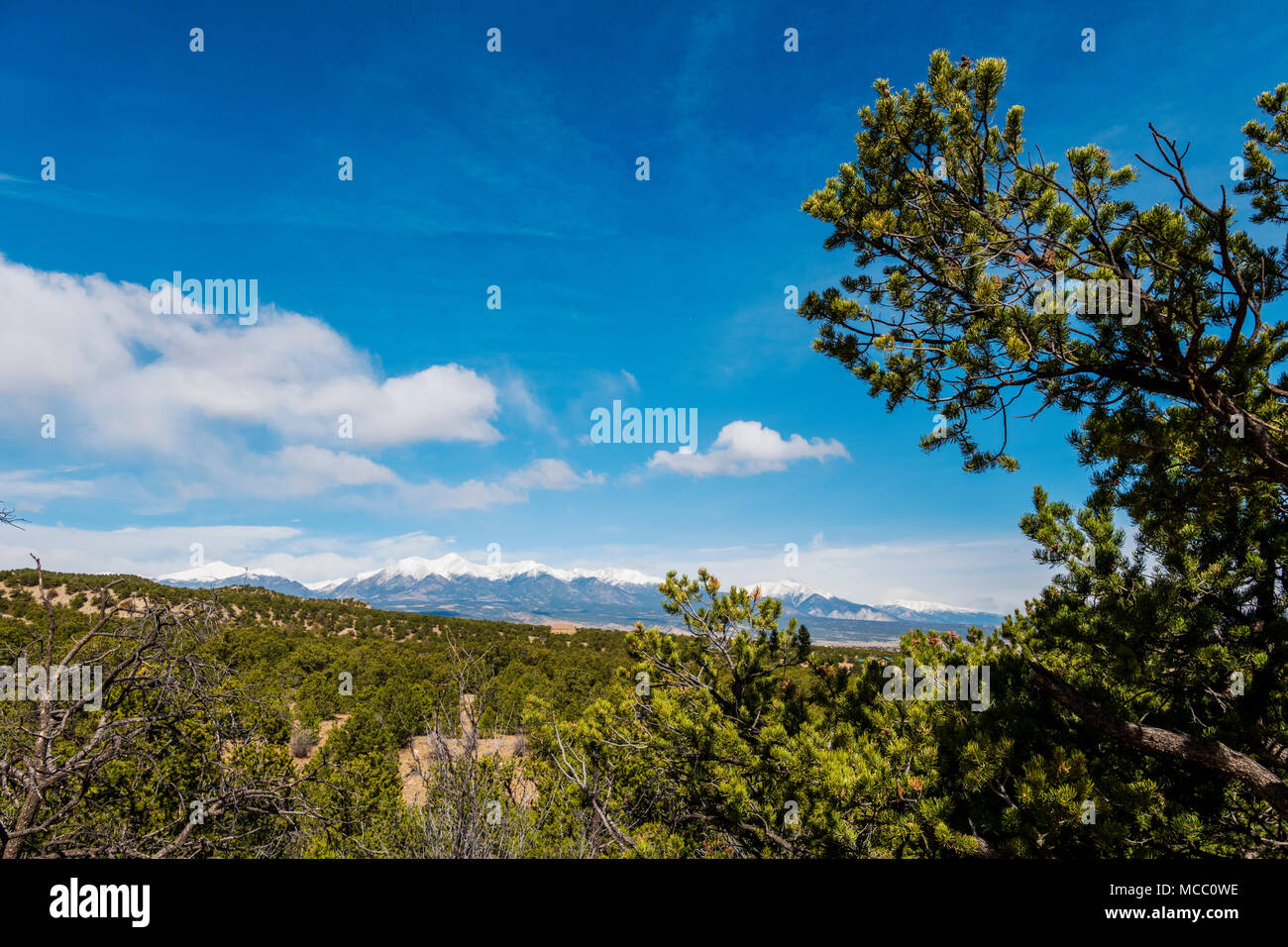 Mt. Shavano; Collegiate Peaks; Rocky Mountains; central Colorado; USA ...