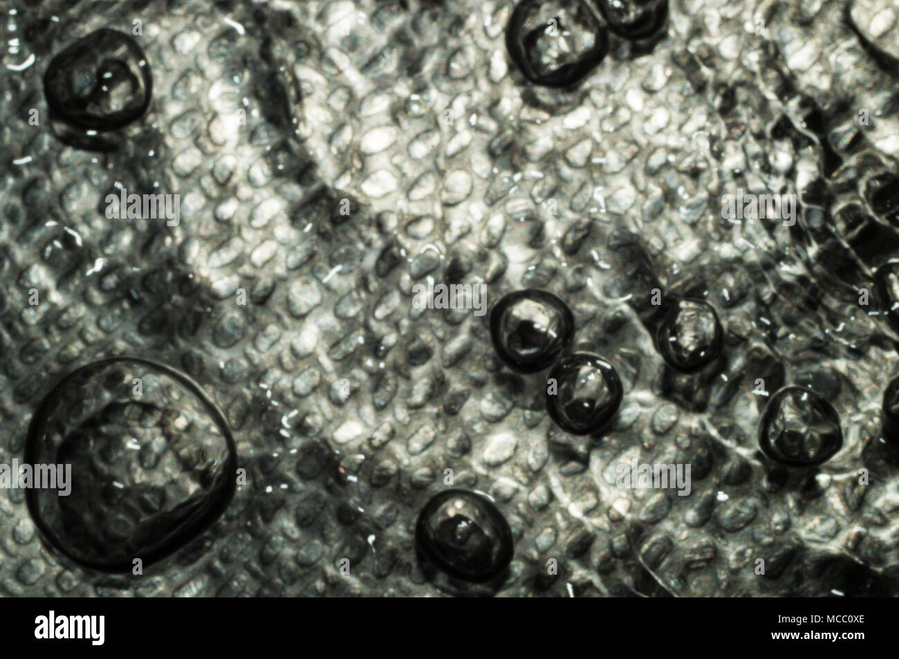 clean blue waterdrops macro background Stock Photo - Alamy