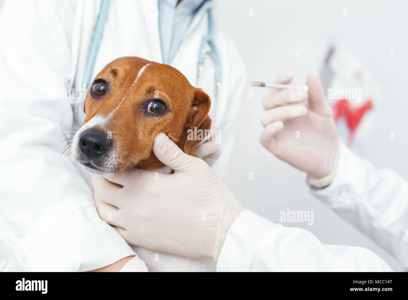 Biologist lab insects hi-res stock photography and images - Alamy