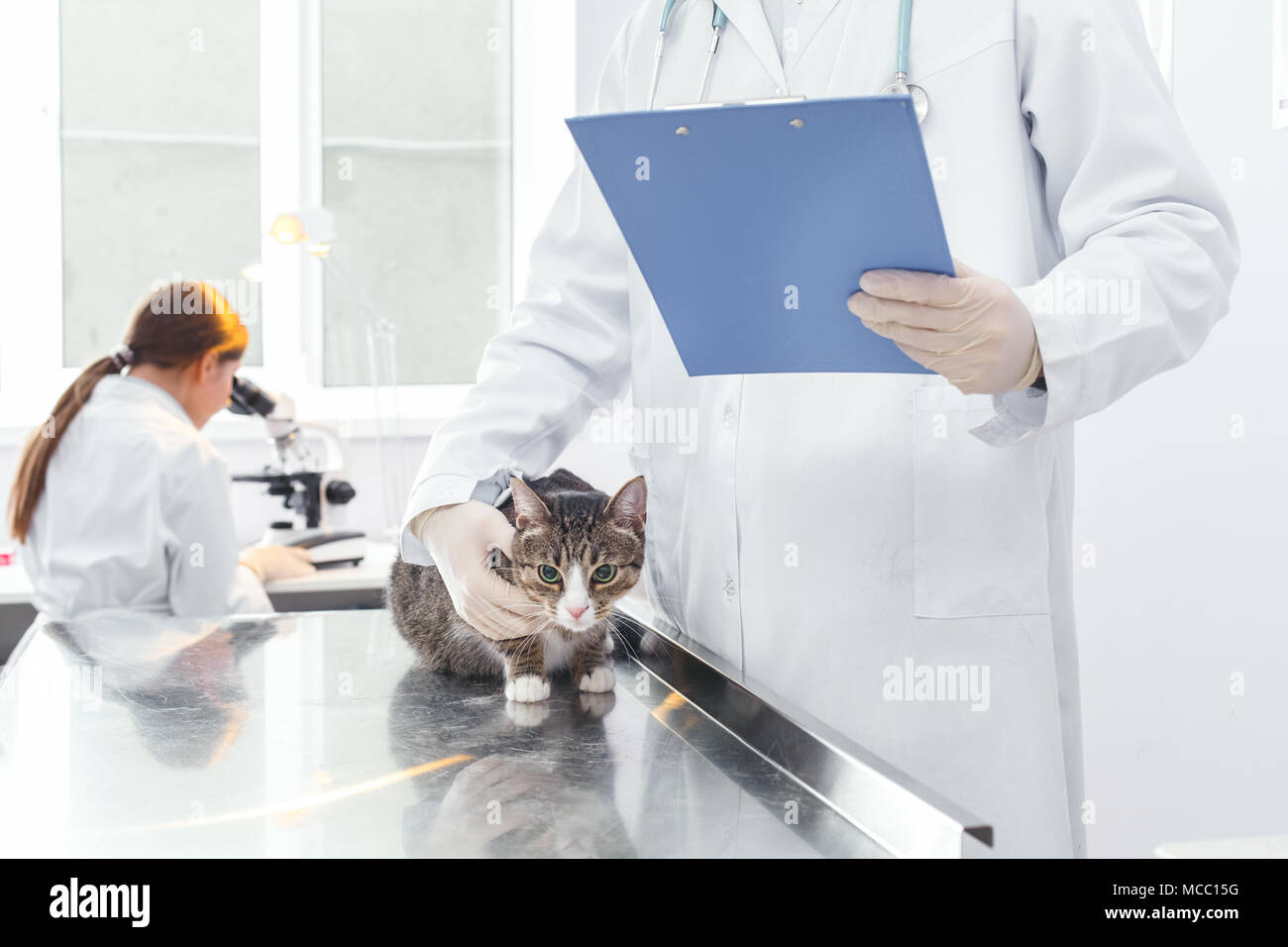 Closeup picture woman looking through a microscope, man write a medical ...