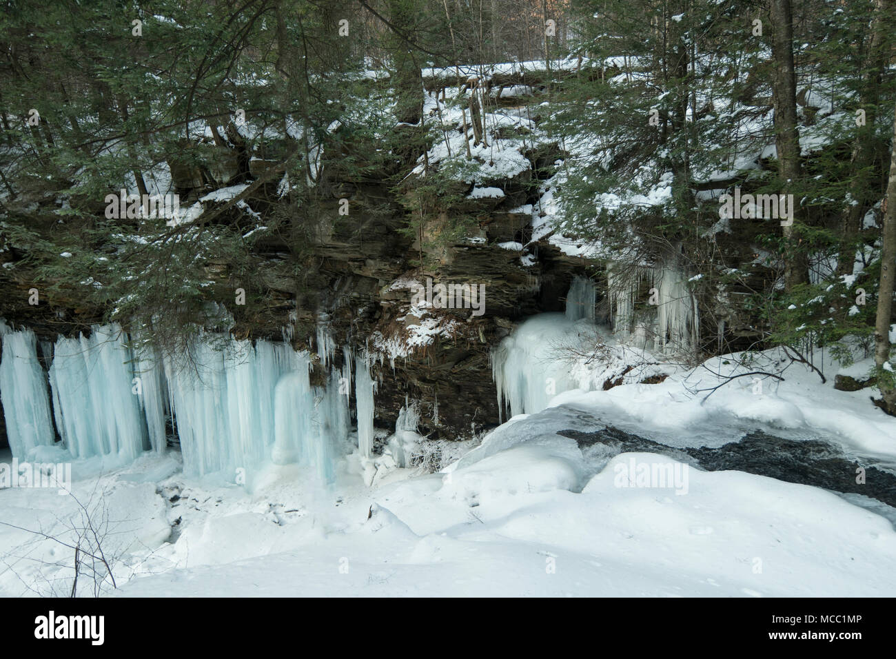 Evergreens and waterfall hi-res stock photography and images - Alamy