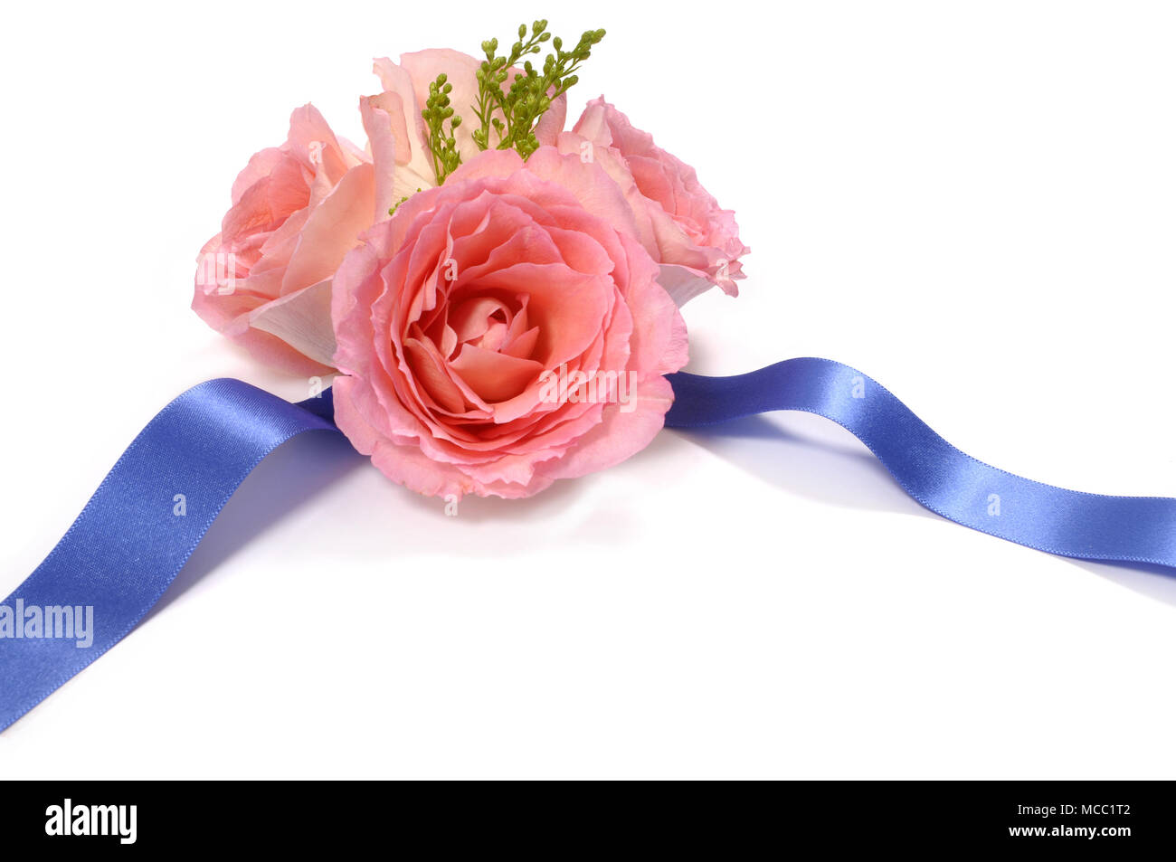 Blue Rose Corner Border