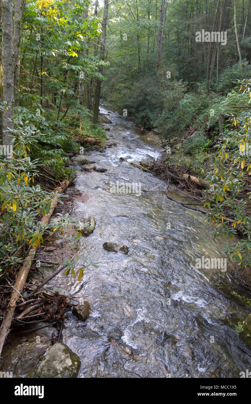 A long, lush, rocky, scenic mountain stream curves off into a forest of ...
