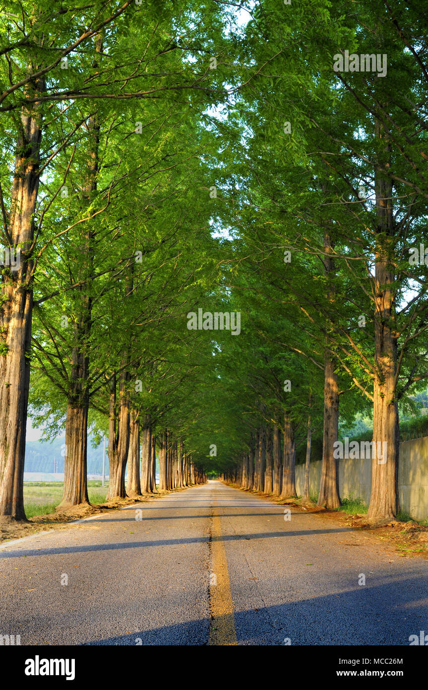 Straight vertical line hi-res stock photography and images - Alamy