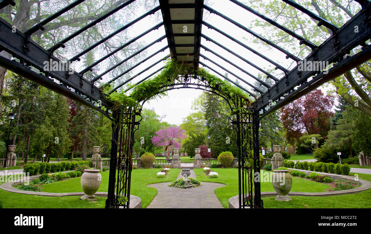 Toronto city green roof hi-res stock photography and images - Alamy