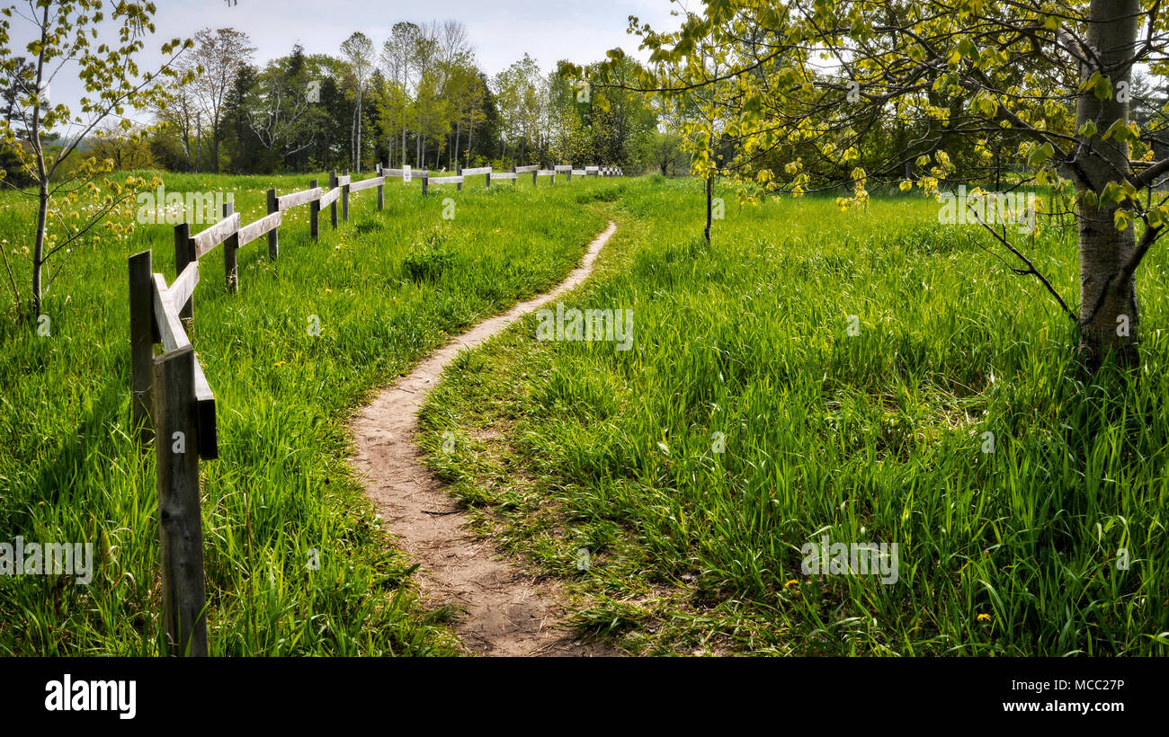 The winding trail in the park with fence, Markham, Ontario, Canada ...