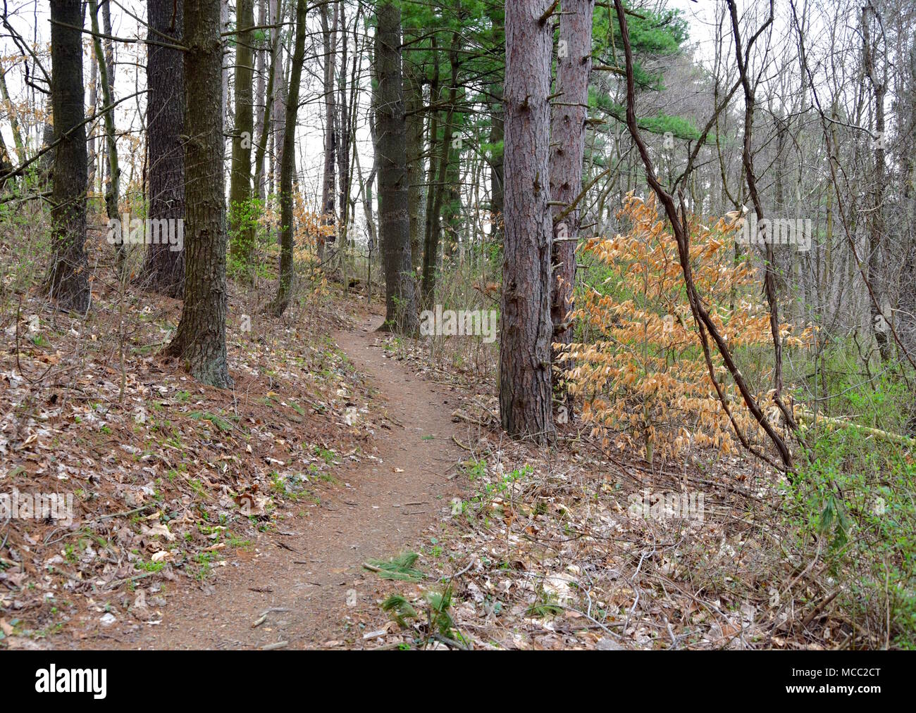 Dirt walking trail winding hi-res stock photography and images - Alamy