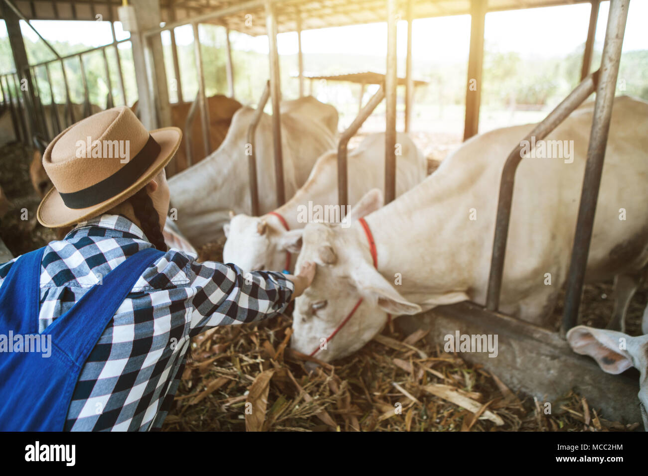Dairy compartment hi-res stock photography and images - Alamy