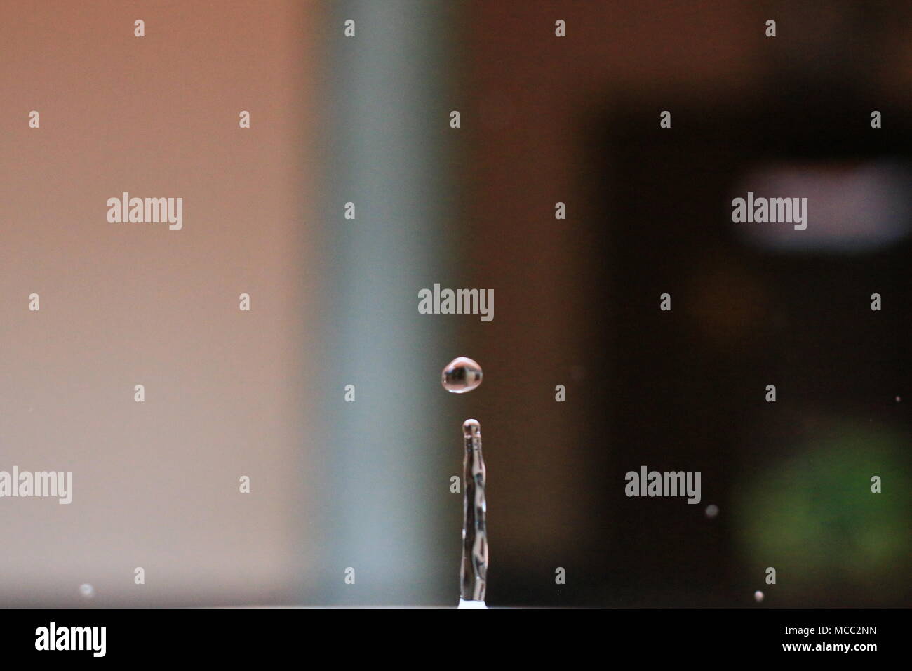 Drop water nature hi-res stock photography and images - Alamy