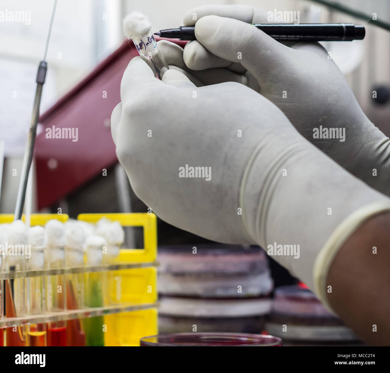 Test tube stand showing Durham's tube in Sugar media demonstrating gas ...