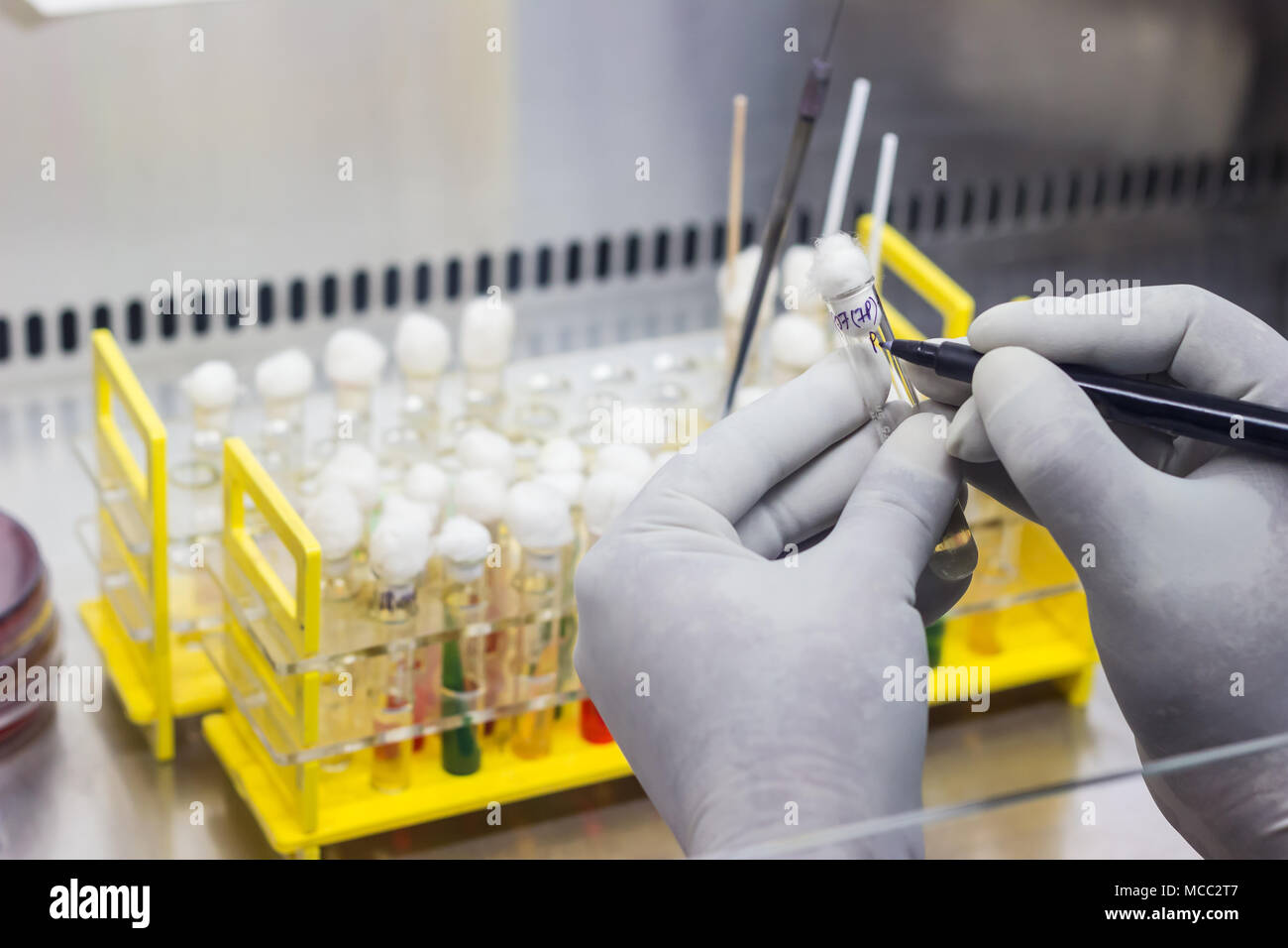 Durhams tube hi-res stock photography and images - Alamy