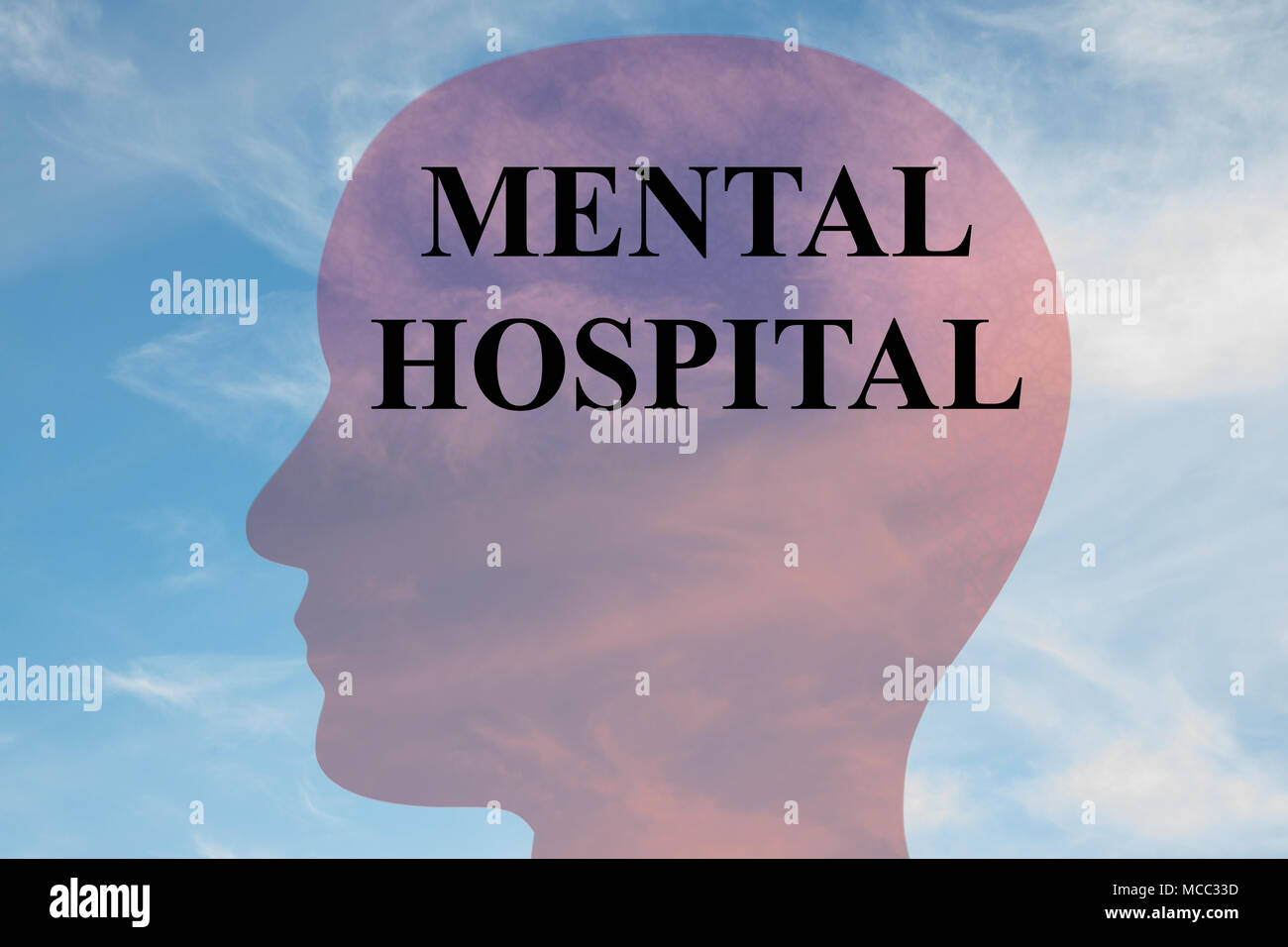 Render illustration of MENTAL HOSPITAL title on head silhouette, with ...