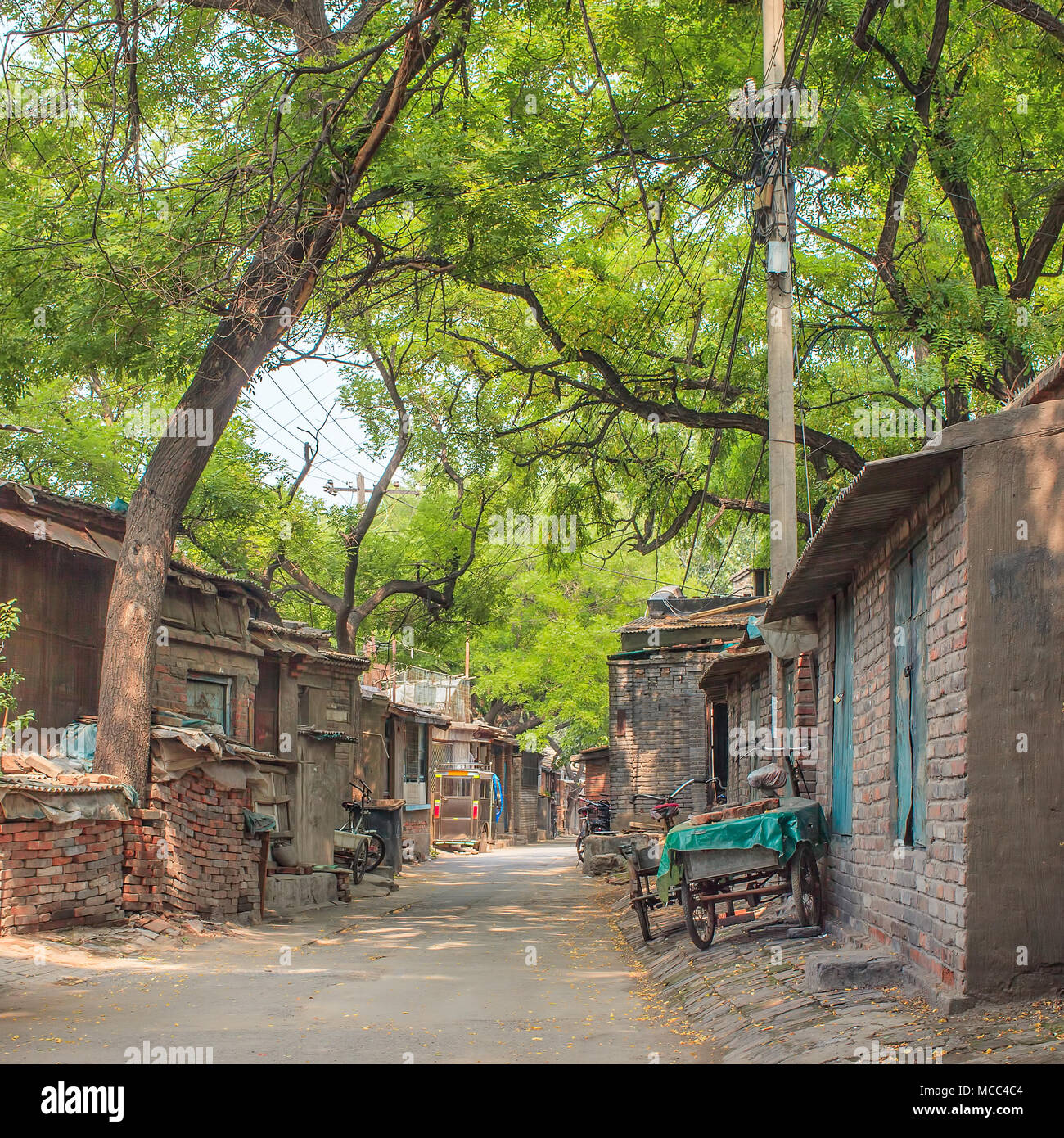Lush green hutong (ancient alley) in Beijing, China Stock Photo - Alamy