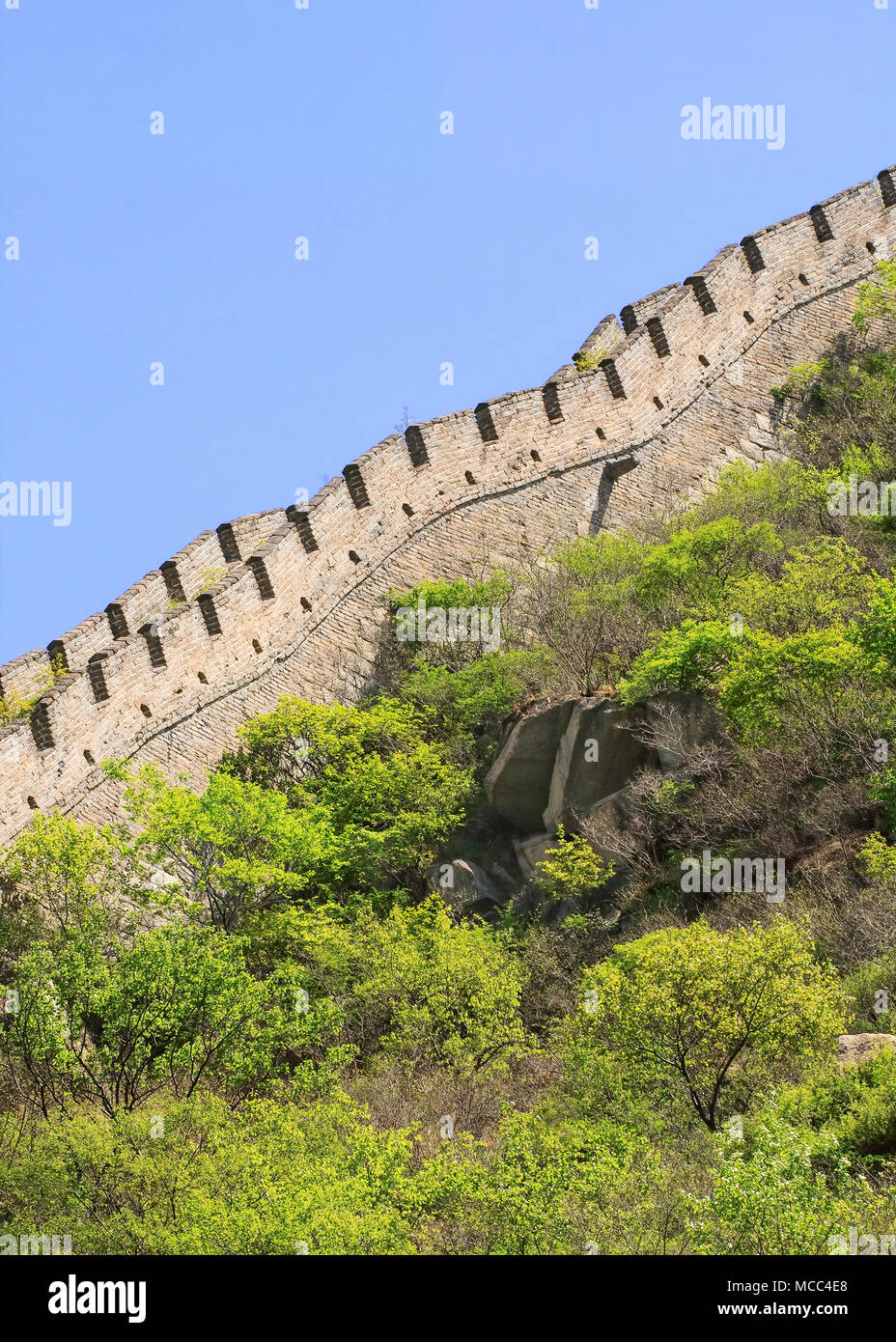 Magnificent Great wall in a green environment, Beijing, China Stock ...