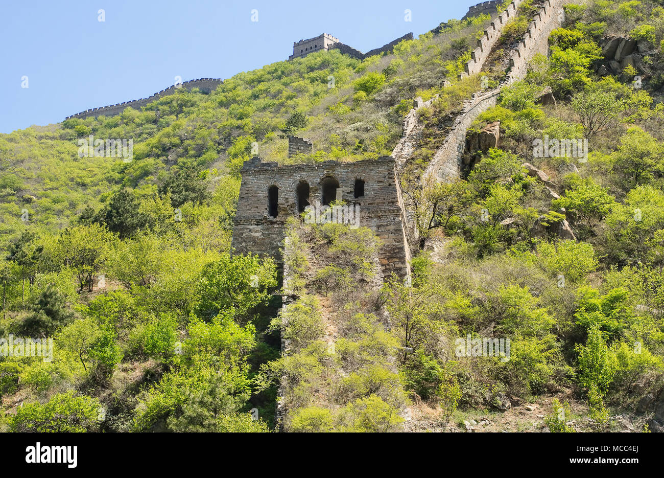 Magnificent Great wall in a green environment, Beijing, China Stock ...