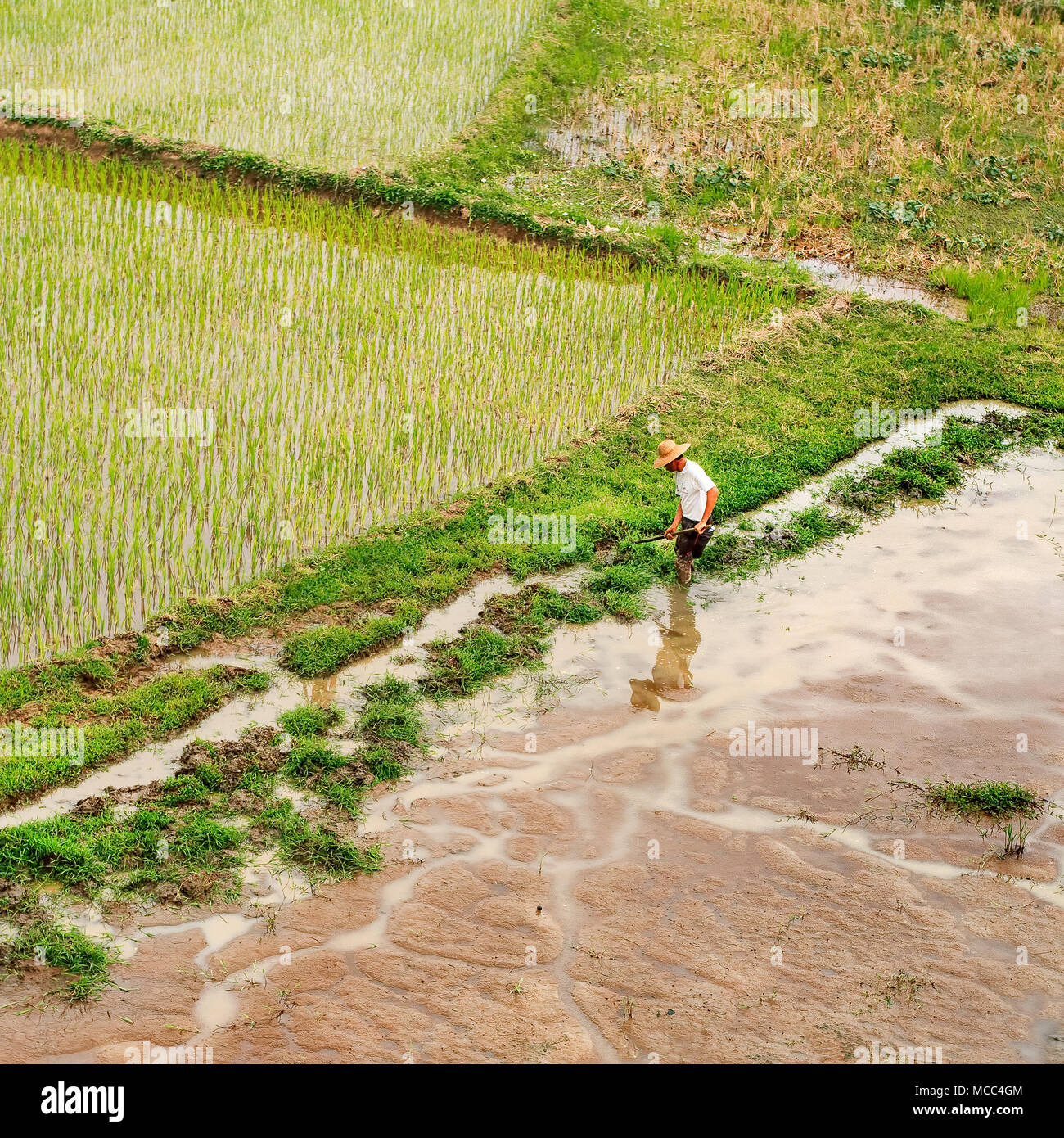 Green hat china hi-res stock photography and images - Alamy
