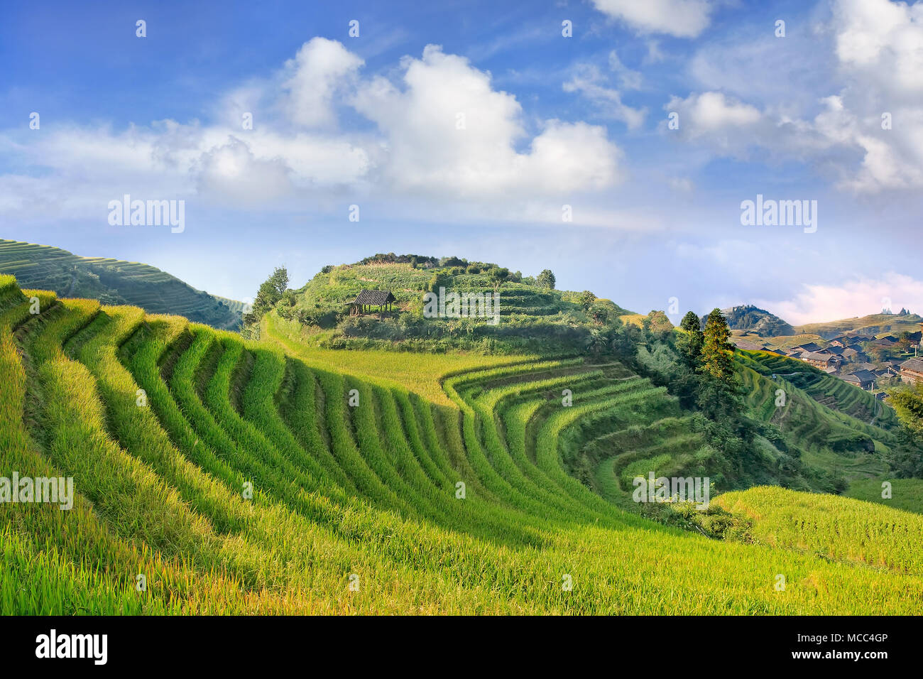 Famous rice terraces, beauty of nature, Longji, China Stock Photo - Alamy