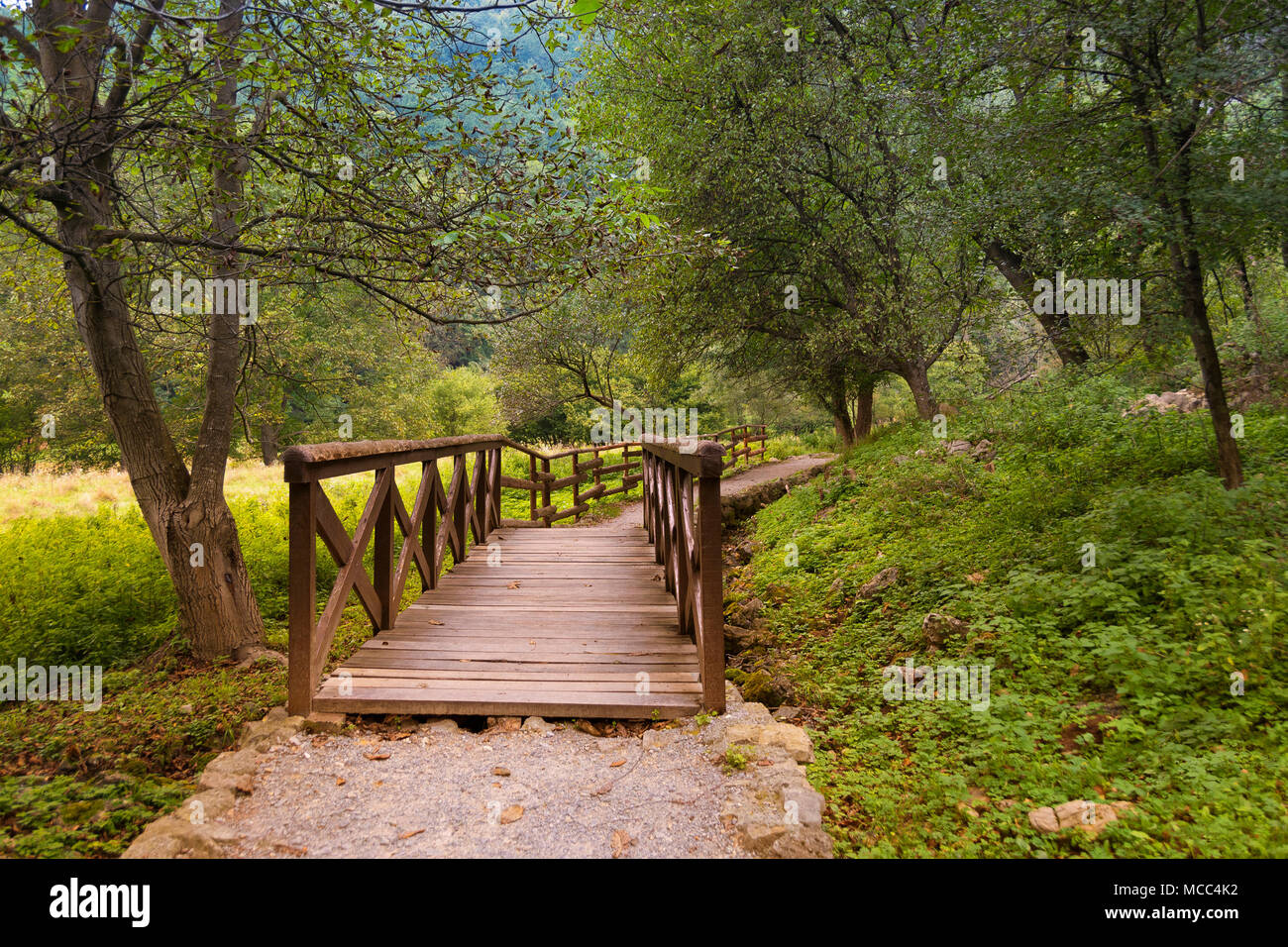 Rustic wooden bridge hi-res stock photography and images - Alamy