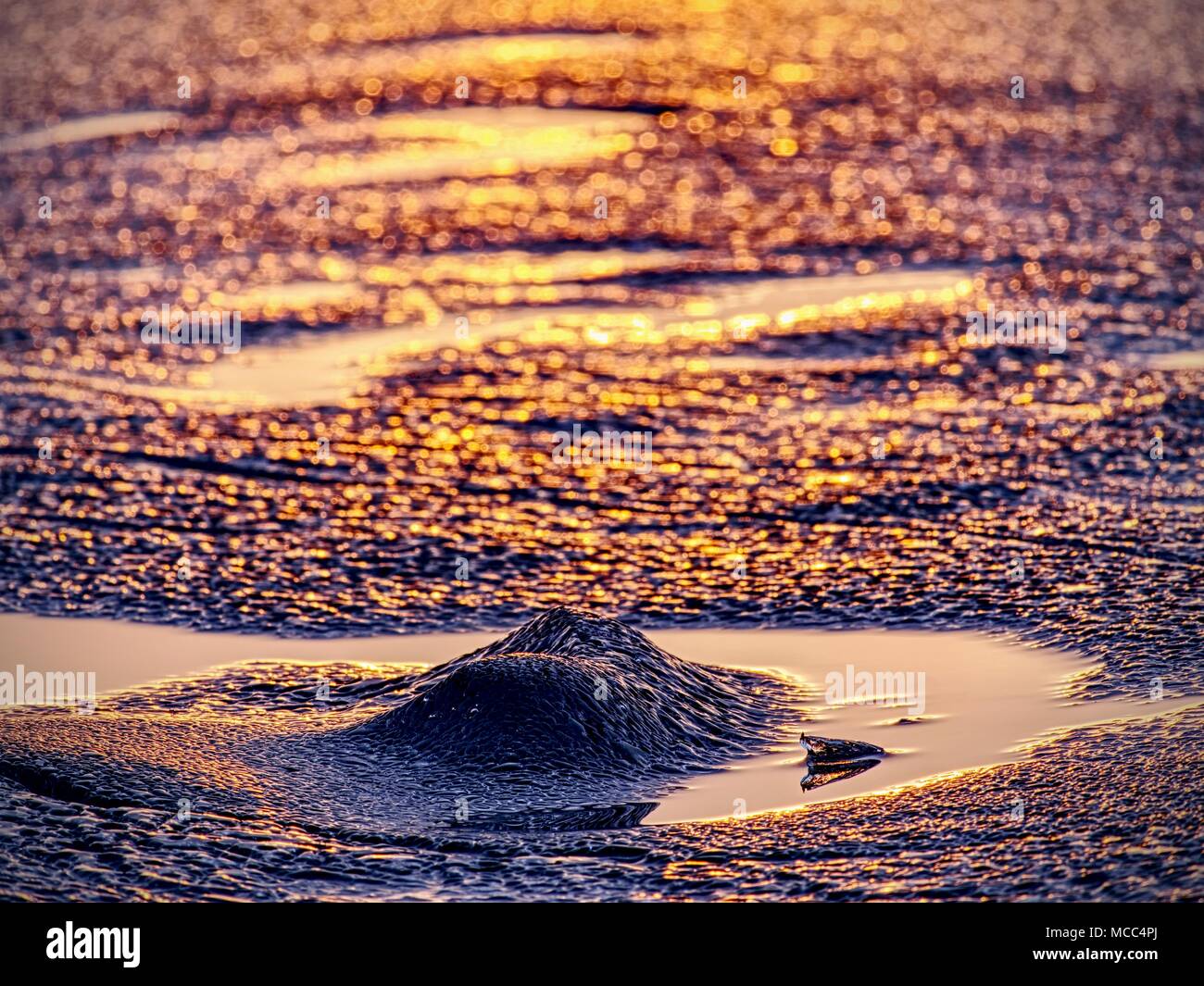Shiny cold ice pieces on clear ice floe. Structure of natural ice in ...