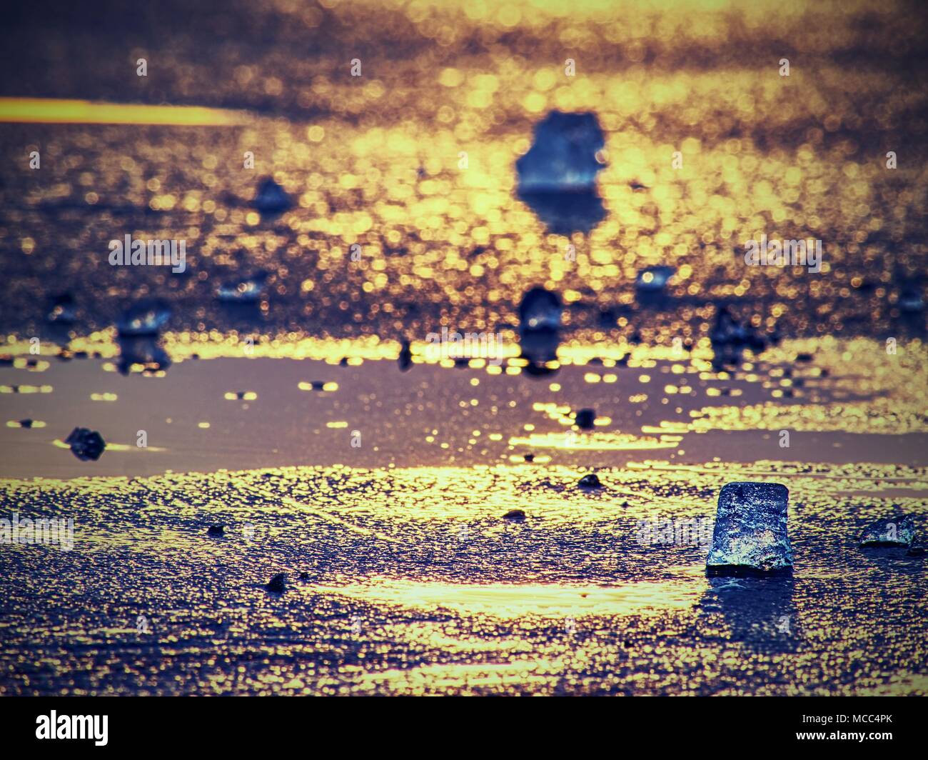 Shining icebergs and ice floes, ice clefts reflected rays in the smooth ...