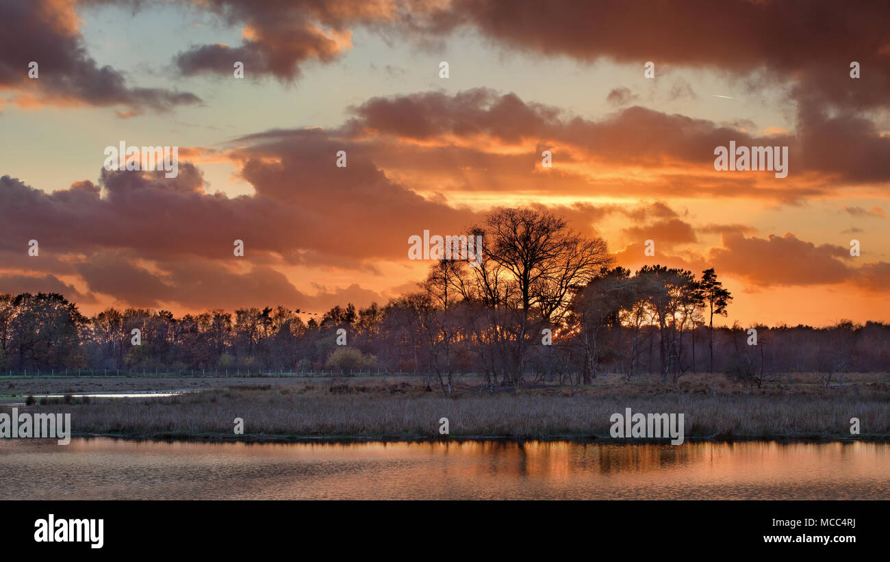 Beautiful wetland hi-res stock photography and images - Alamy