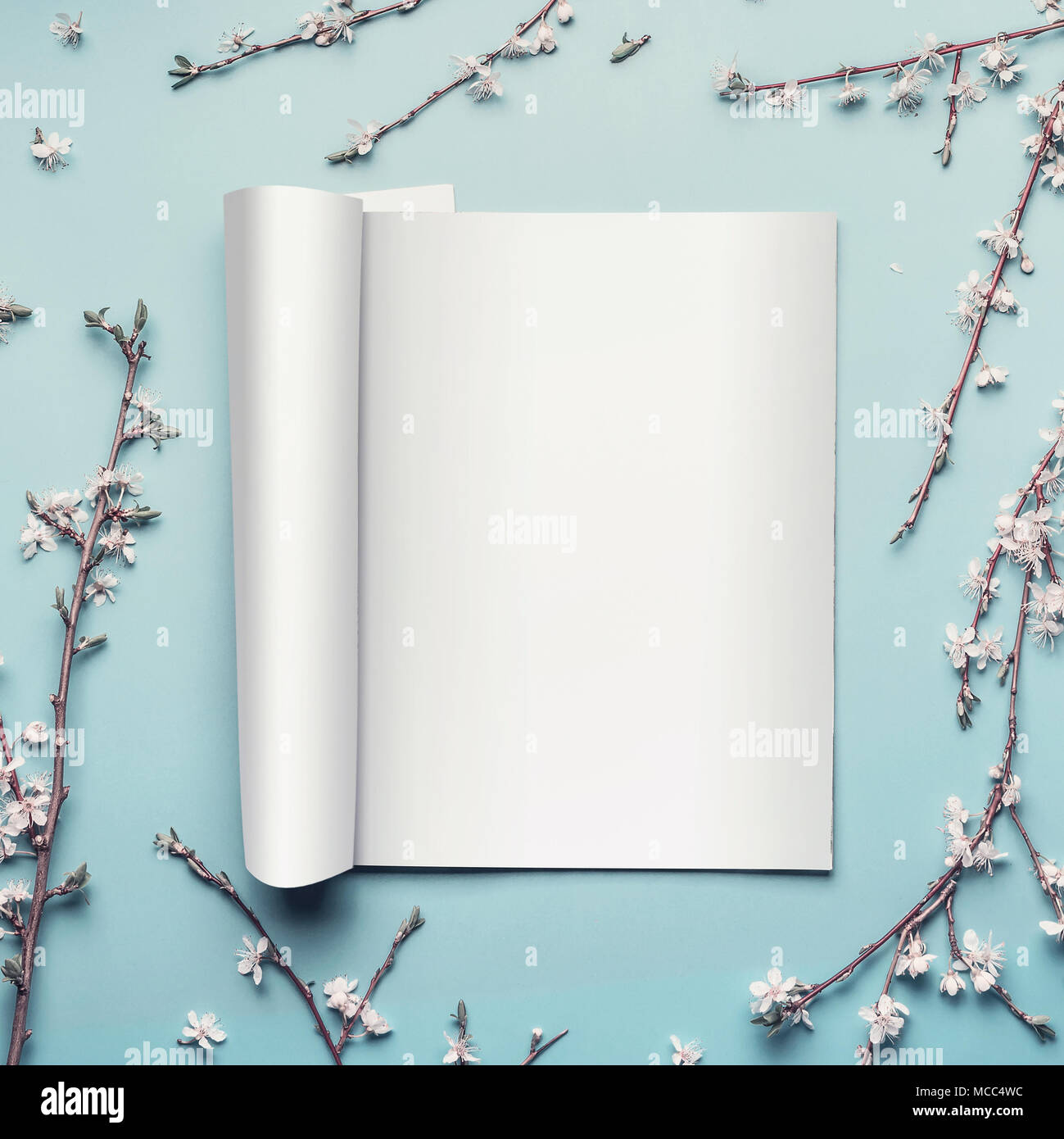 Mock-up of open magazine or catalog on pastel blue desktop background ...