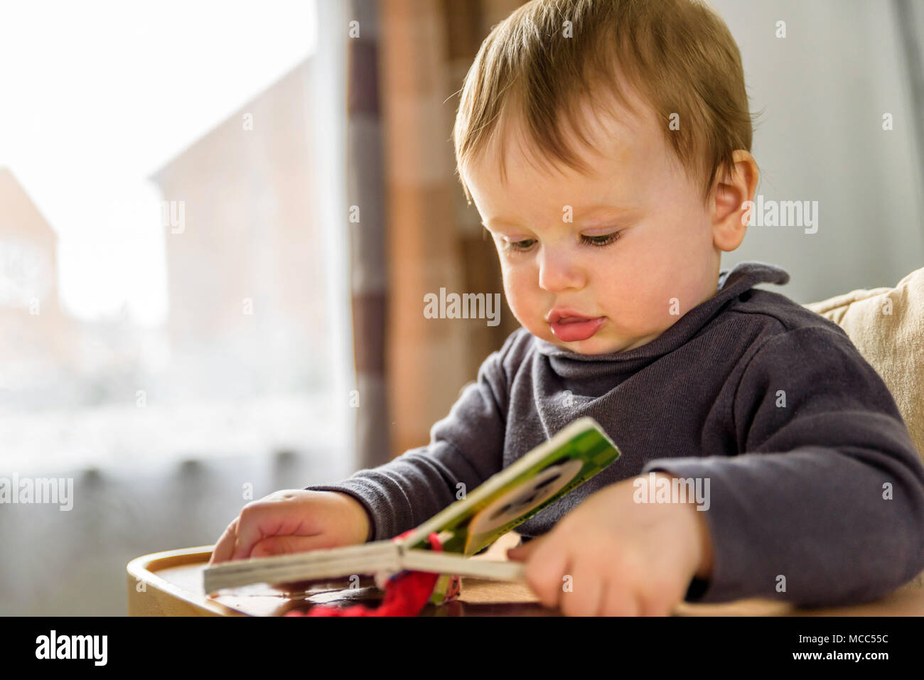 Indoor portrait of baby playing reading first child book Stock Photo ...