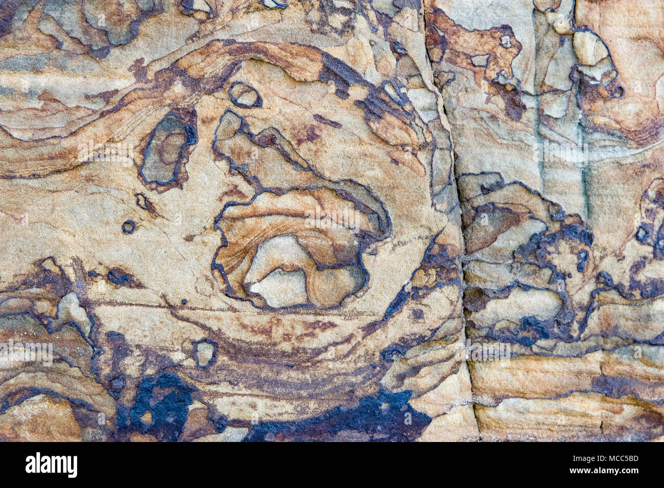 Weathered Sandstone rock close up Stock Photo - Alamy