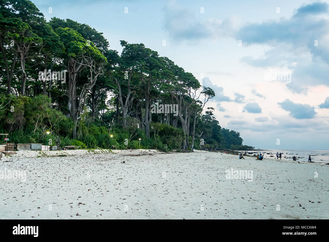 Neil island andaman india hi-res stock photography and images - Alamy