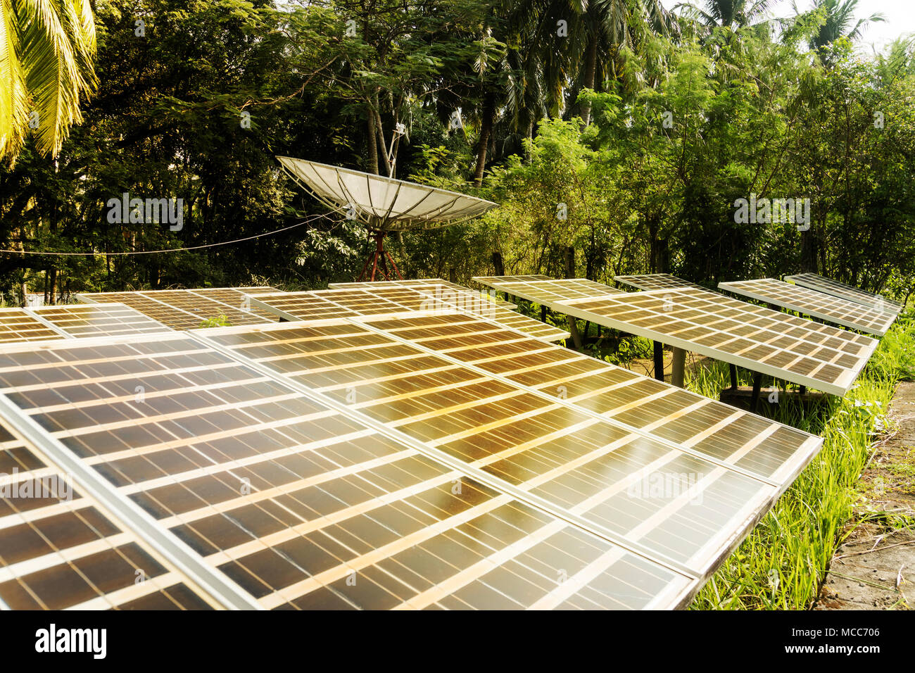Large solar panels in the rainforest. Alternative solar energy. Solar ...