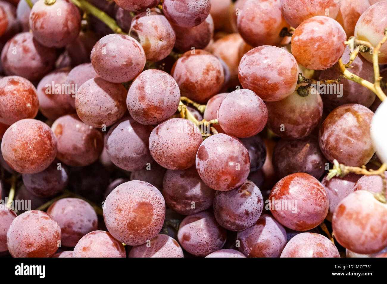Grapes detail hi-res stock photography and images - Alamy