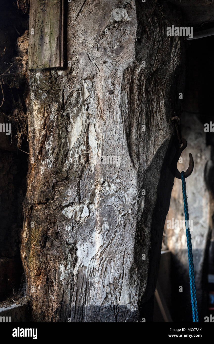 Timber framing and "post-and-beam" construction are traditional methods ...