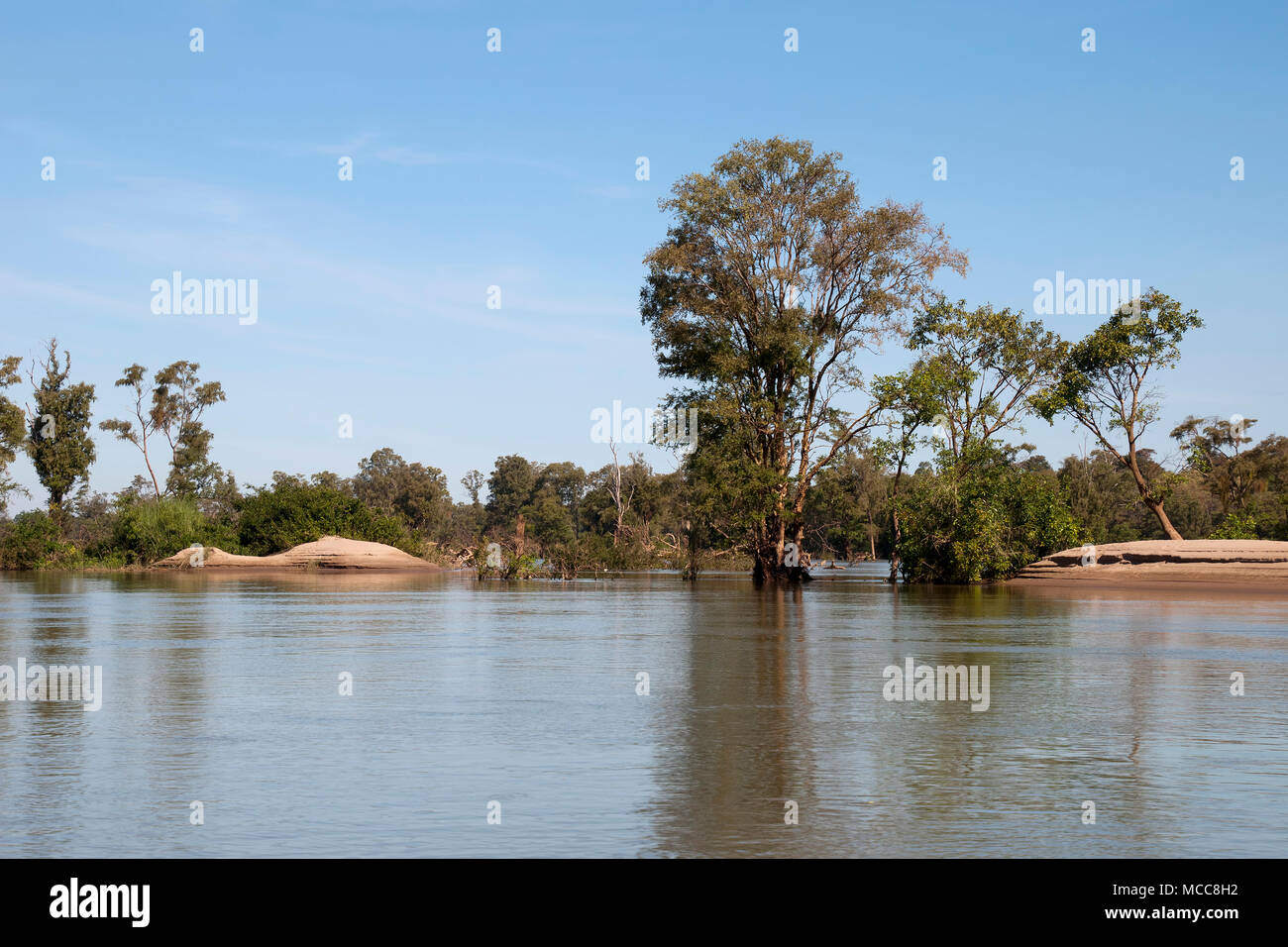 Stung Treng Cambodia, scene of the flooded forest in the Mekong river ...