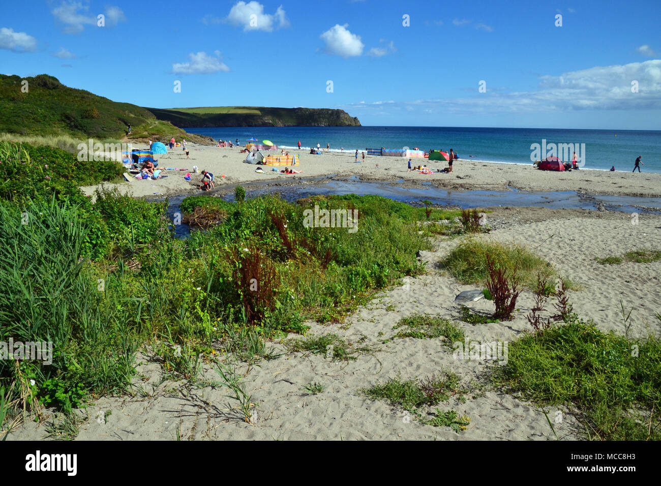 Pendower Beach, Veryan, Cornwall, England, UK Stock Photo - Alamy