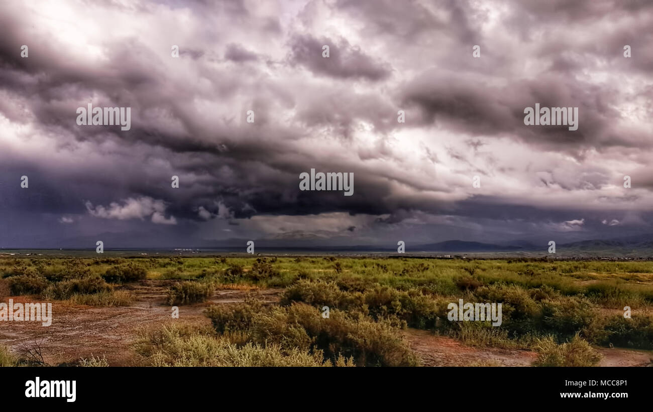 Brushy field hi-res stock photography and images - Alamy