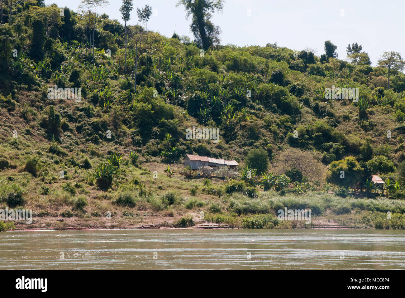 Stung Treng Cambodia, agriculture along the mekong riverbank Stock ...