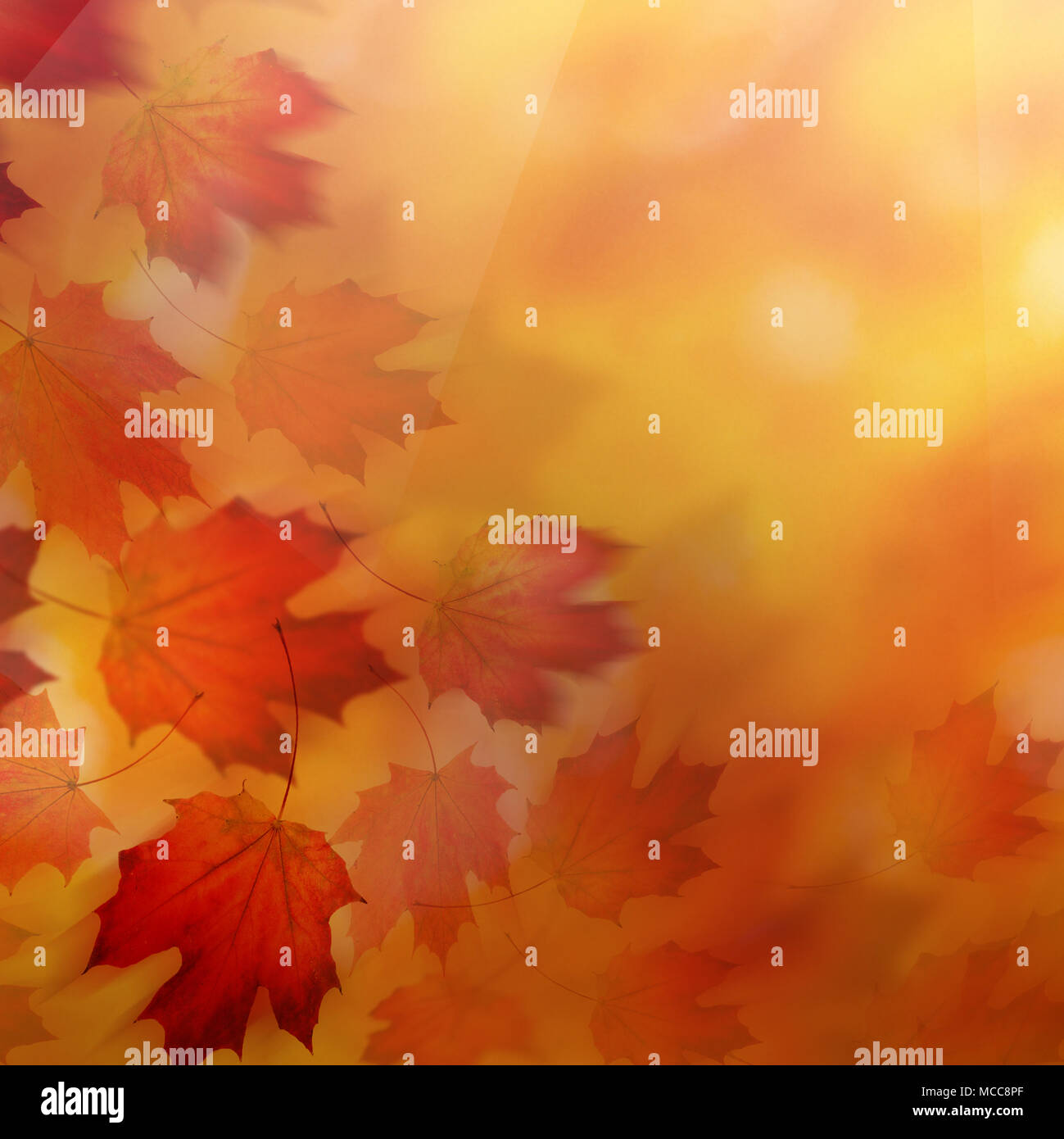Abstract Autumn Background with Red Fall Leaves Stock Photo - Alamy