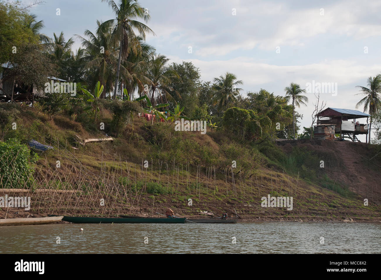 Stung Treng Cambodia, agriculture along the mekong riverbank Stock ...